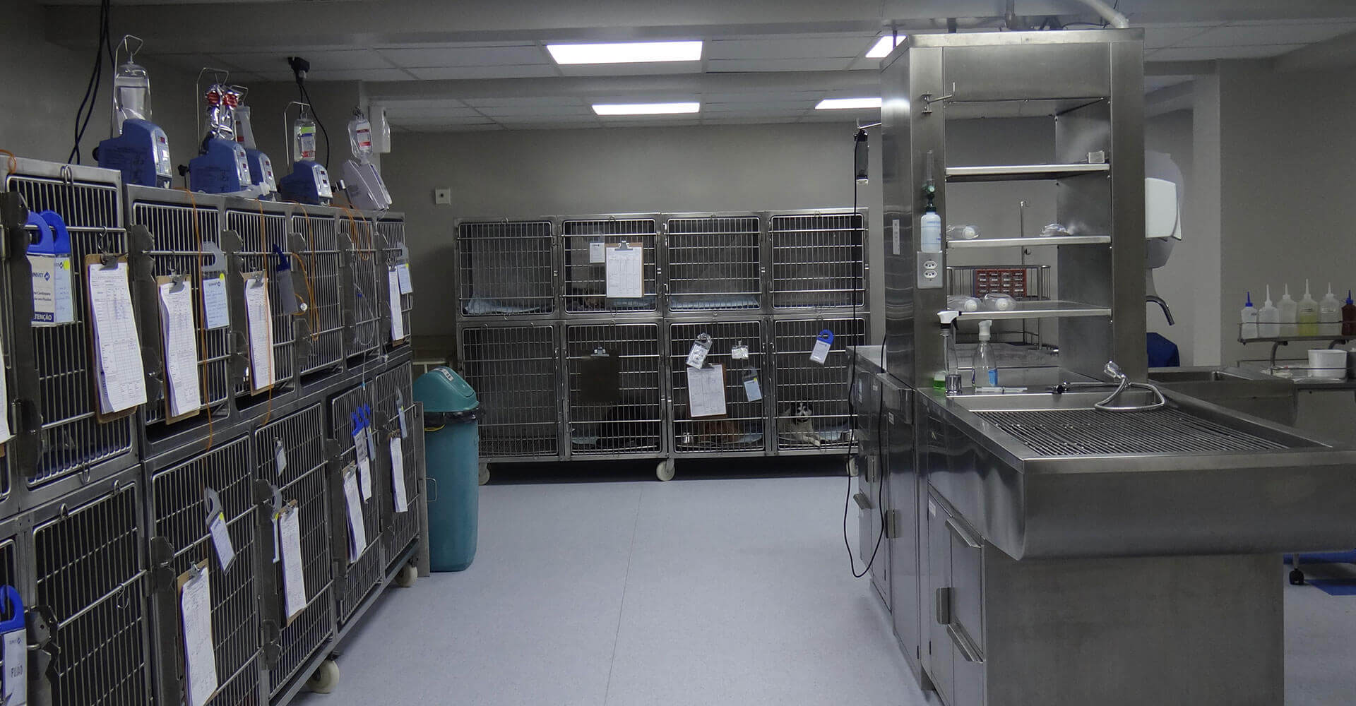 Internamentos - Clinivet - Hospital Veterinário